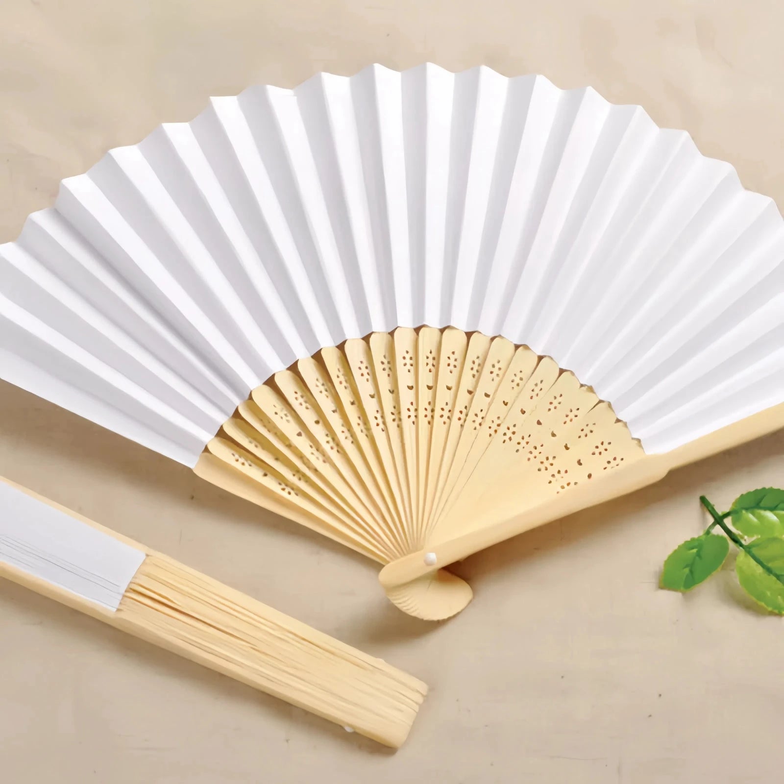 blank fan
